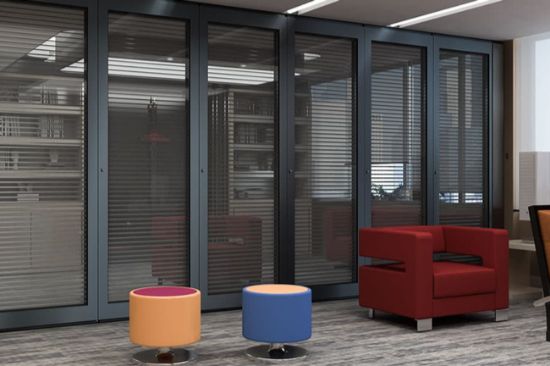 Panglass Auto Double Glazed Glass|Partition Wall System