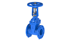 Potable Water Gate Valves Supplier in the GCC - Dutco Tennant
